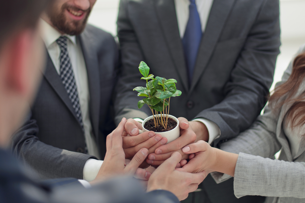 Importance Of Hiring a Highly Skilled Tree Removal Company- Blog